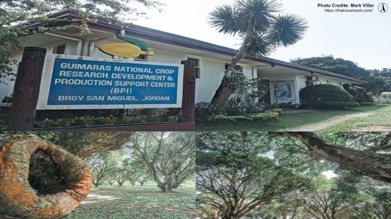 2022 GUIMARAS DAY TOUR ITINERARY: Getting Around The Province By ...